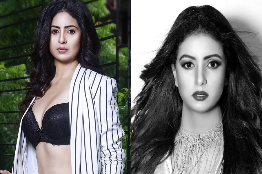 मोहम्मद शमीकडून लाखोंची पोटगी पूर्व पत्नी जगतेय आलिशान आयुष्य Photos