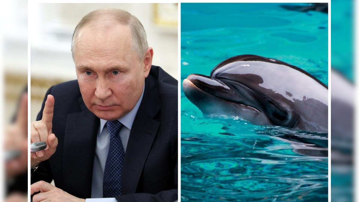 PHOTOS: पुतिन तयार करतायेत नवीन सैन्य! रशियाचे फायटर डॉल्फिनला ट्रेनिंग ...