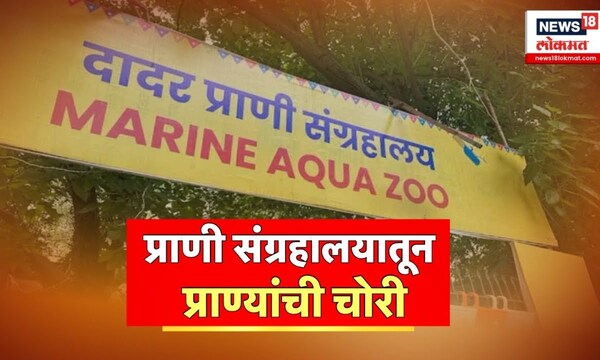 Marine Aqua Zoo Dadar | प्राणी संग्रहालयातील 10 प्राणी चोरीला ...