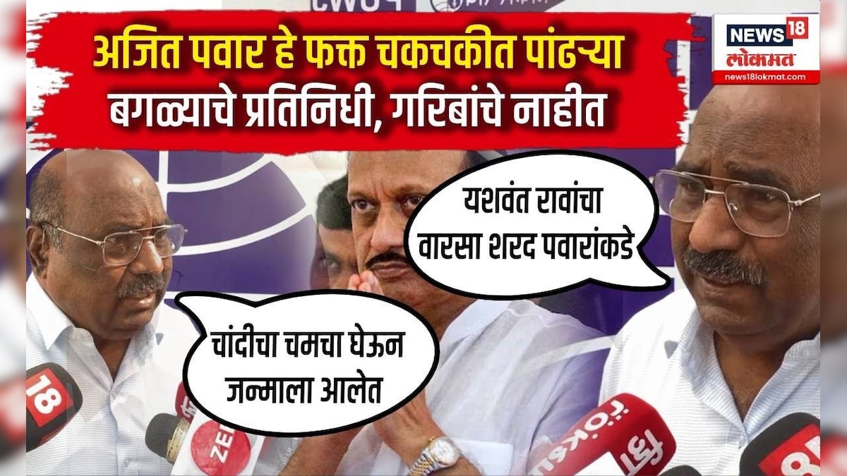 Laxman Mane On Ajit Pawar : अजित पवार हे फक्त चकचकीत पांढऱ्या बगळ्याचे ...