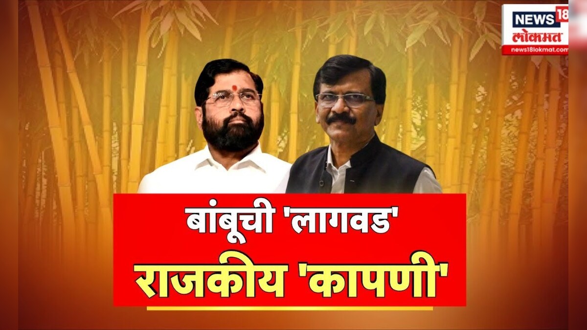Special Report | Ekanth Shinde | Sanjay Raut | काय आहे राज्यातील बांबू ...