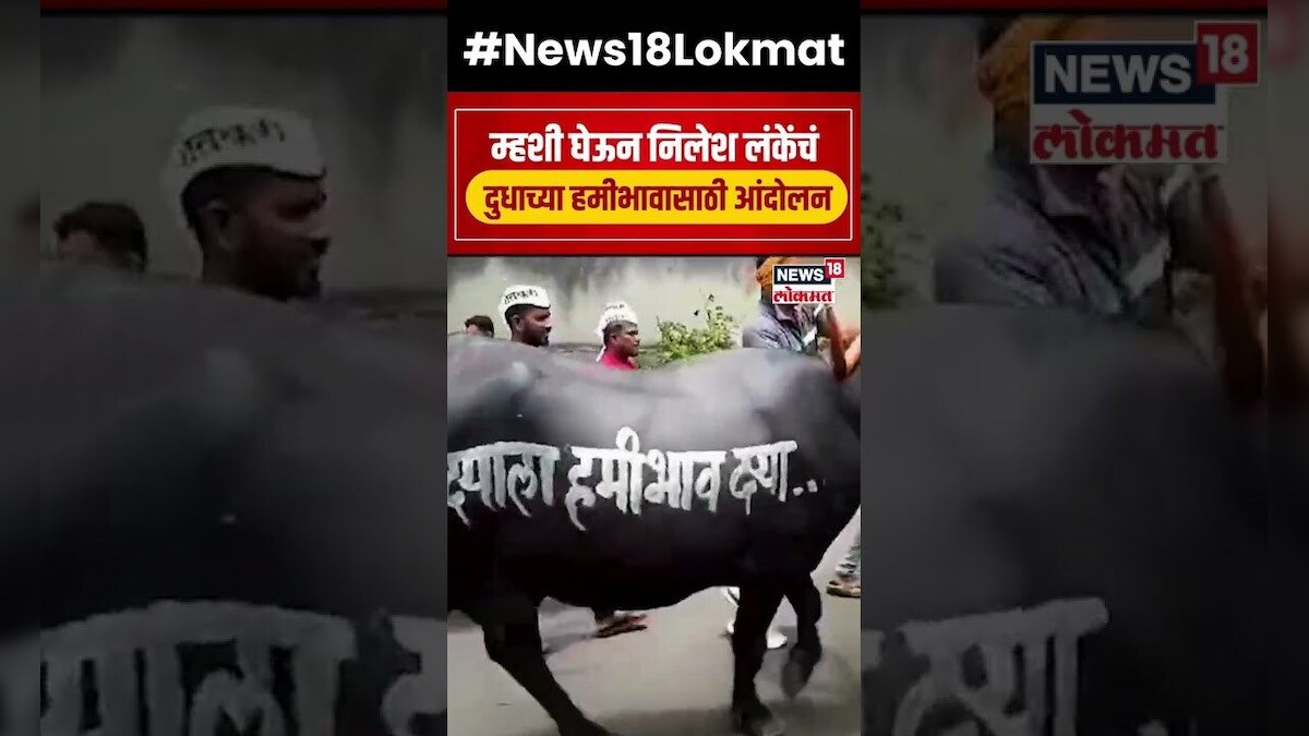 Nilesh Lanke | दुधाच्या हमीभावासाठी लंकेंचं म्हशी घेऊन आंदोलन! "कांदा ...