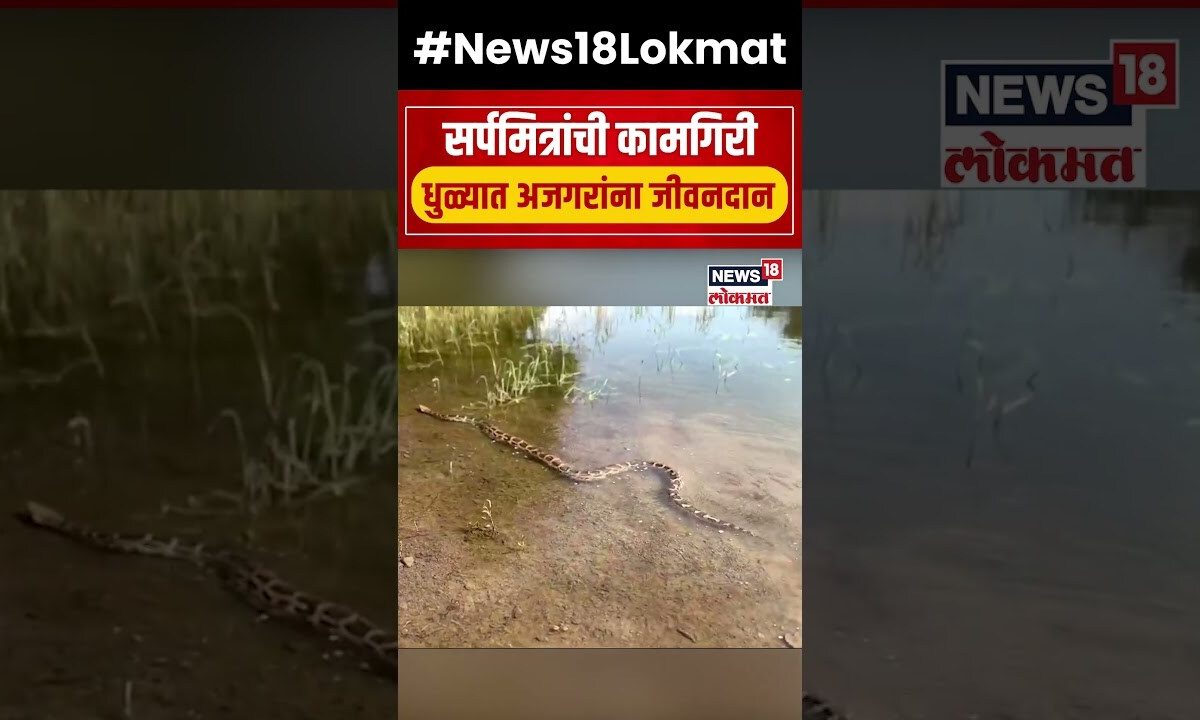 Dhule Snake Rescue | सर्पमित्रांची कामगिरी, धुळ्यात अजगरांना जीवनदान | Marathi News N18S