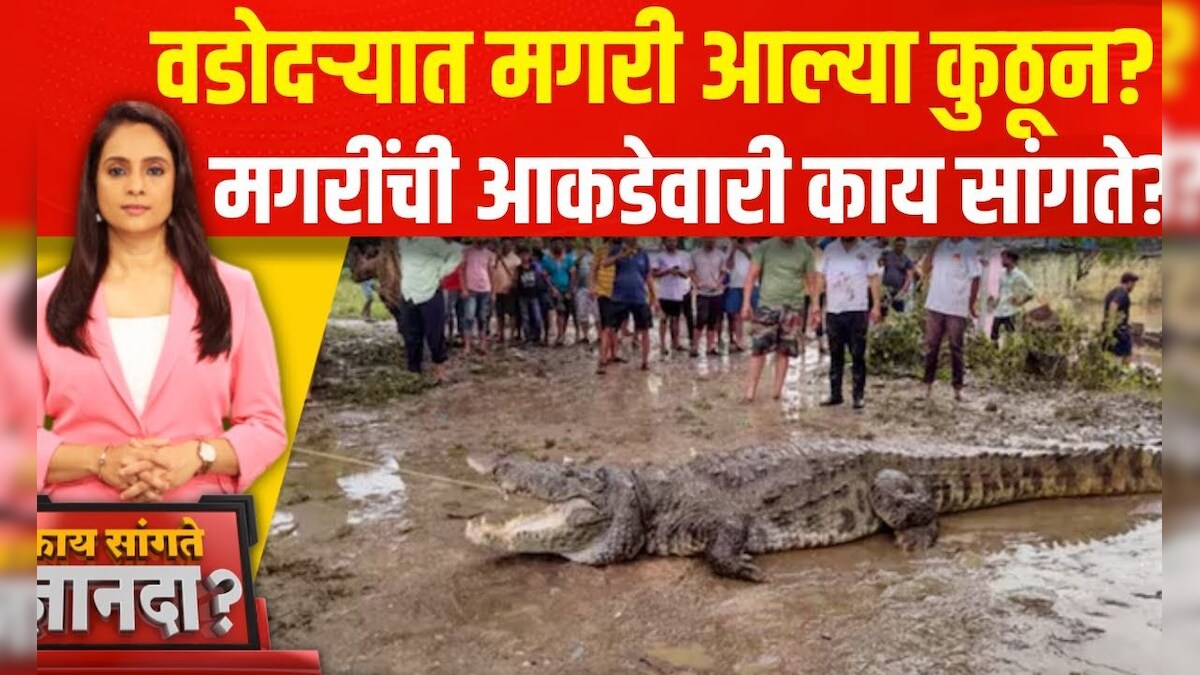 Special Report | Vishwamitri River : विश्वमित्री नदी कशी बनली मगरींचं ...