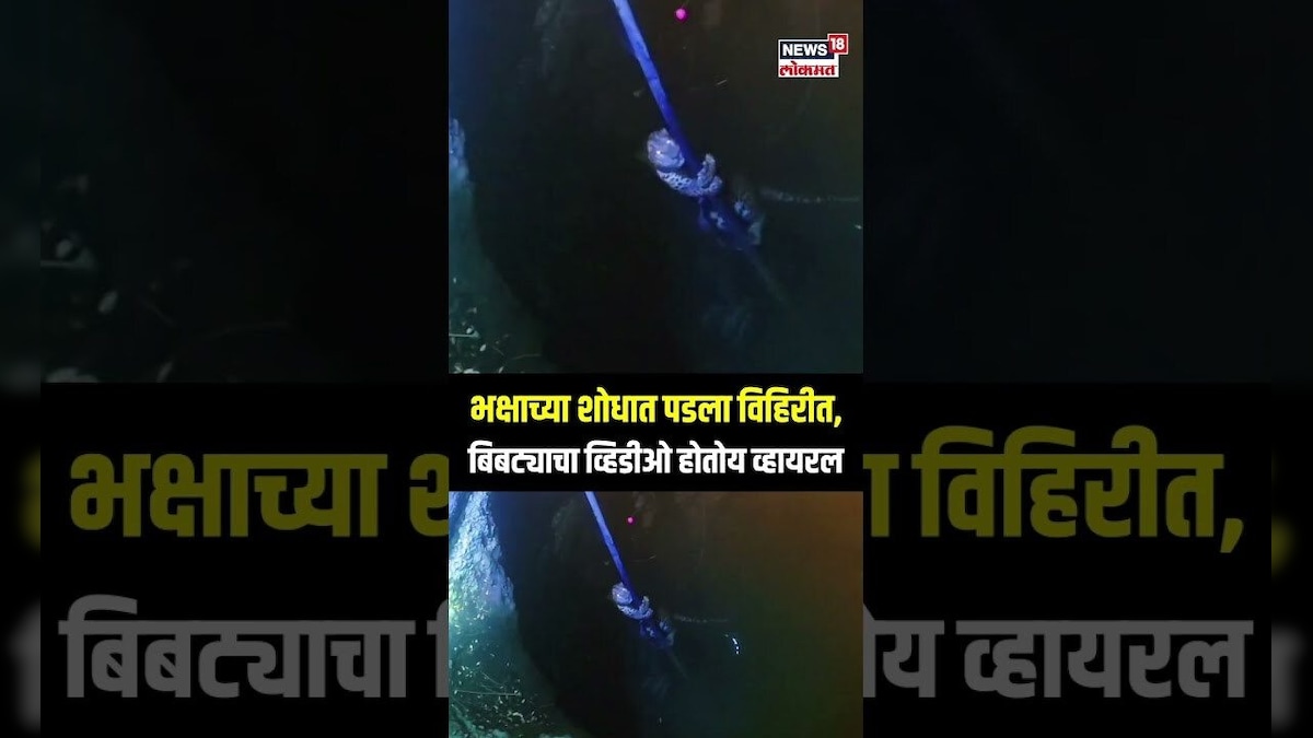 Bibtya Viral Video: शिरूरमध्ये शिकारीच्या शोधात बिबट्या पडला विहिरीत ...