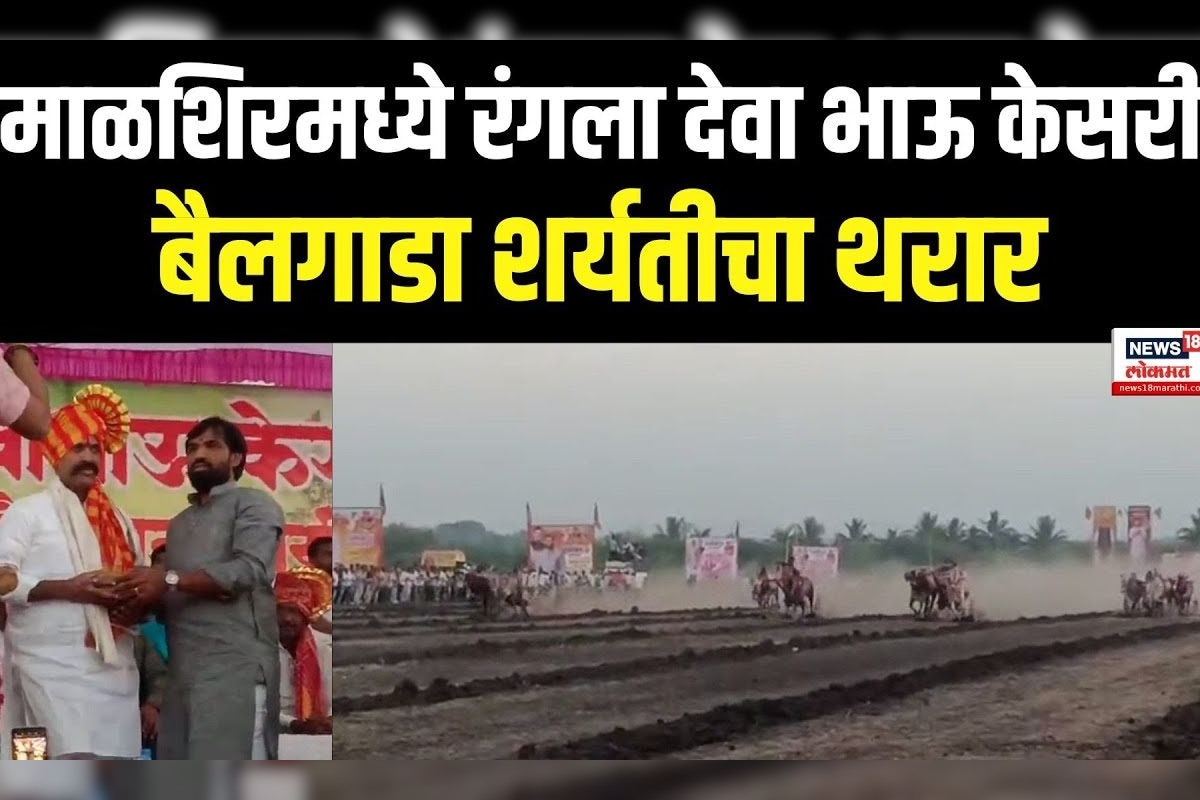 Ram Satpute यांच्या वाढदिवसानिमित्त माळशिरसमध्ये देवा भाऊ केसरी Bullock ...