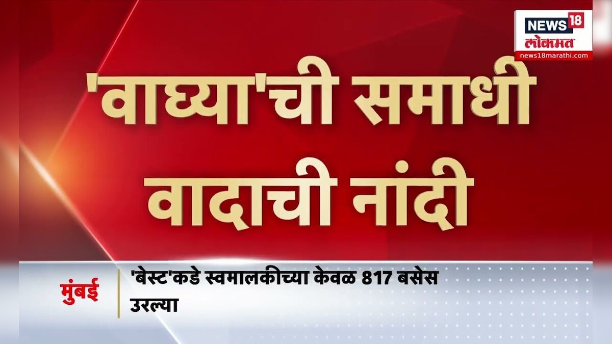 Raigad Waghya Kutra : वाघ्या कुत्र्याची समाधी, वादाची नांदी, लक्ष्मण ...