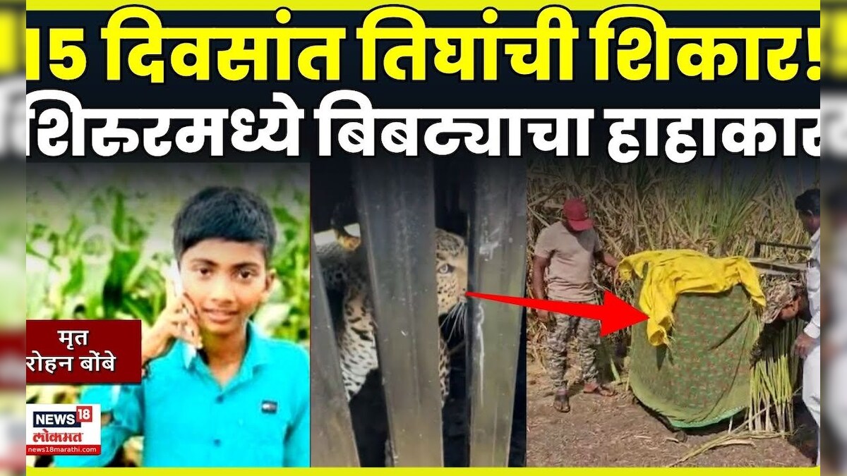 Shirur News | 15 दिवसांत काय घडलं? बिबट्याची दहशत! 3 ठार, शिरुरमध्ये ...