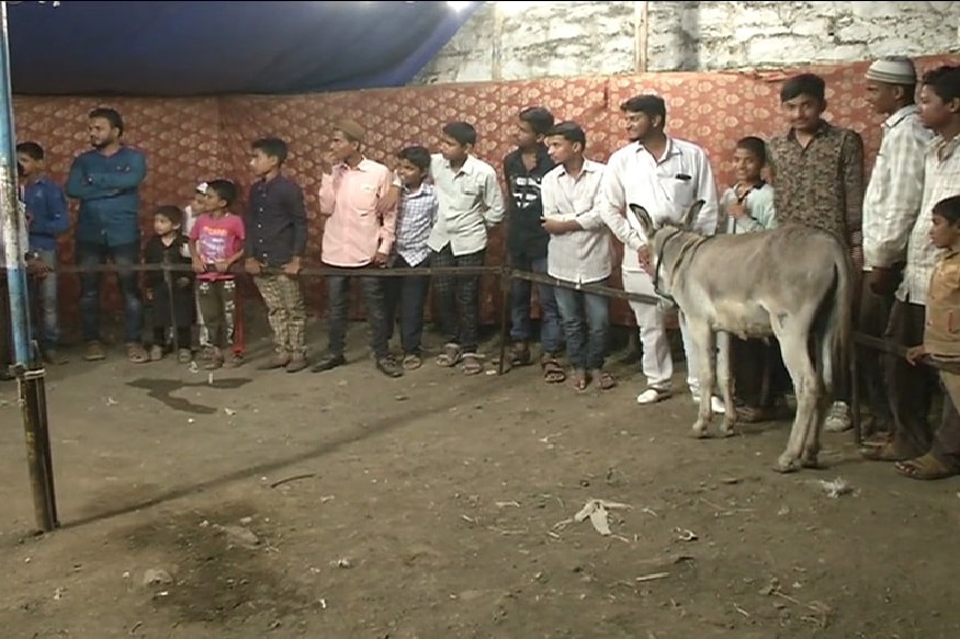 ಖ್ವಾಜಾ ಬಂದೇನವಾಜ್ ಉರುಸ್ ನಲ್ಲಿ ಬುದ್ಧಿವಂತ ಕತ್ತೆ: ಕಳ್ಳ- ಸುಳ್ಳರನ್ನು ...