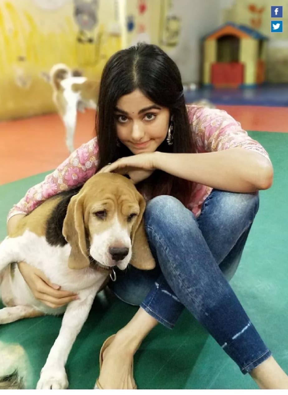 ಮುದ್ದಿನ ಸಾಕು ಪ್ರಾಣಿಗಳೊಂದಿಗೆ ಸ್ಟಾರ್ ನಟಿಯರು..! – News18 ಕನ್ನಡ