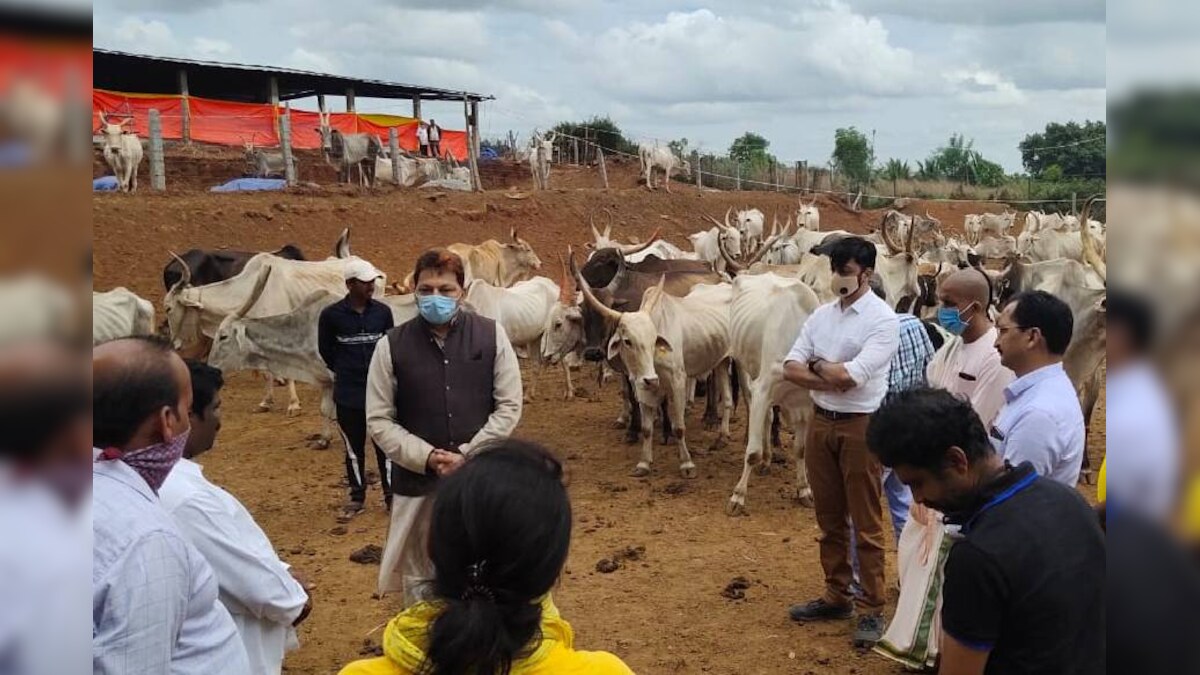 ಸ್ಯಾಂಡಲ್ ವುಡ್ ನ ಈ ನಟ, ನಿರ್ಮಾಪಕನಿಗೆ ಗೋಶಾಲೆಯೇ ಸ್ವರ್ಗ! | Sandalwood Actor ...