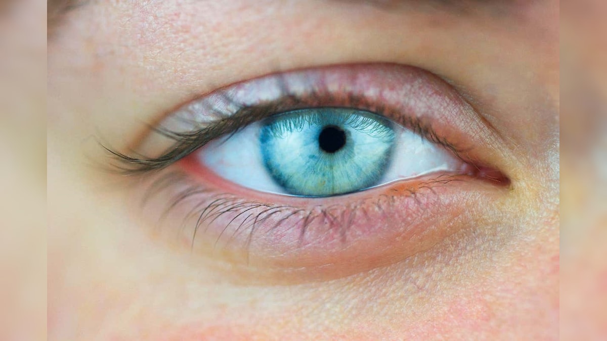 Eye Reading: ಕಣ್ಣುಗಳ ಮೂಲಕ ಮನಸ್ಸಿನ ರಹಸ್ಯ ತಿಳಿಯೋದು ಹೀಗೆ – News18 ಕನ್ನಡ