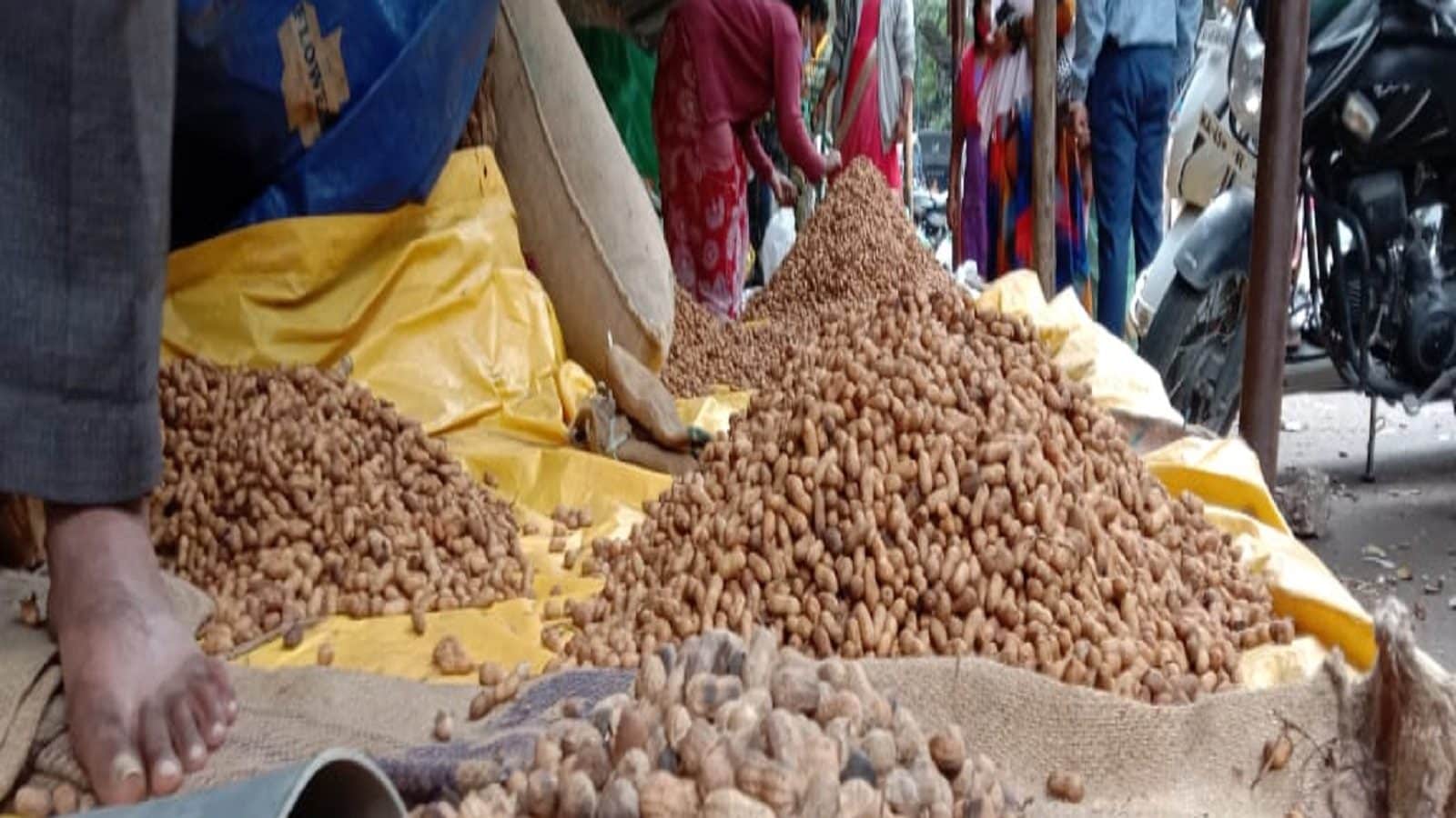 Kadalekai Parishe 2021 To Start From Today– News18 Kannada