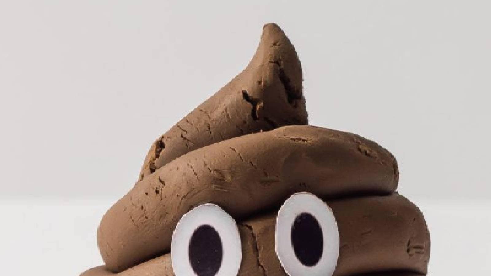 Israel Ben-Gurion University Scientists Turn Human Poop into Coal-like ...