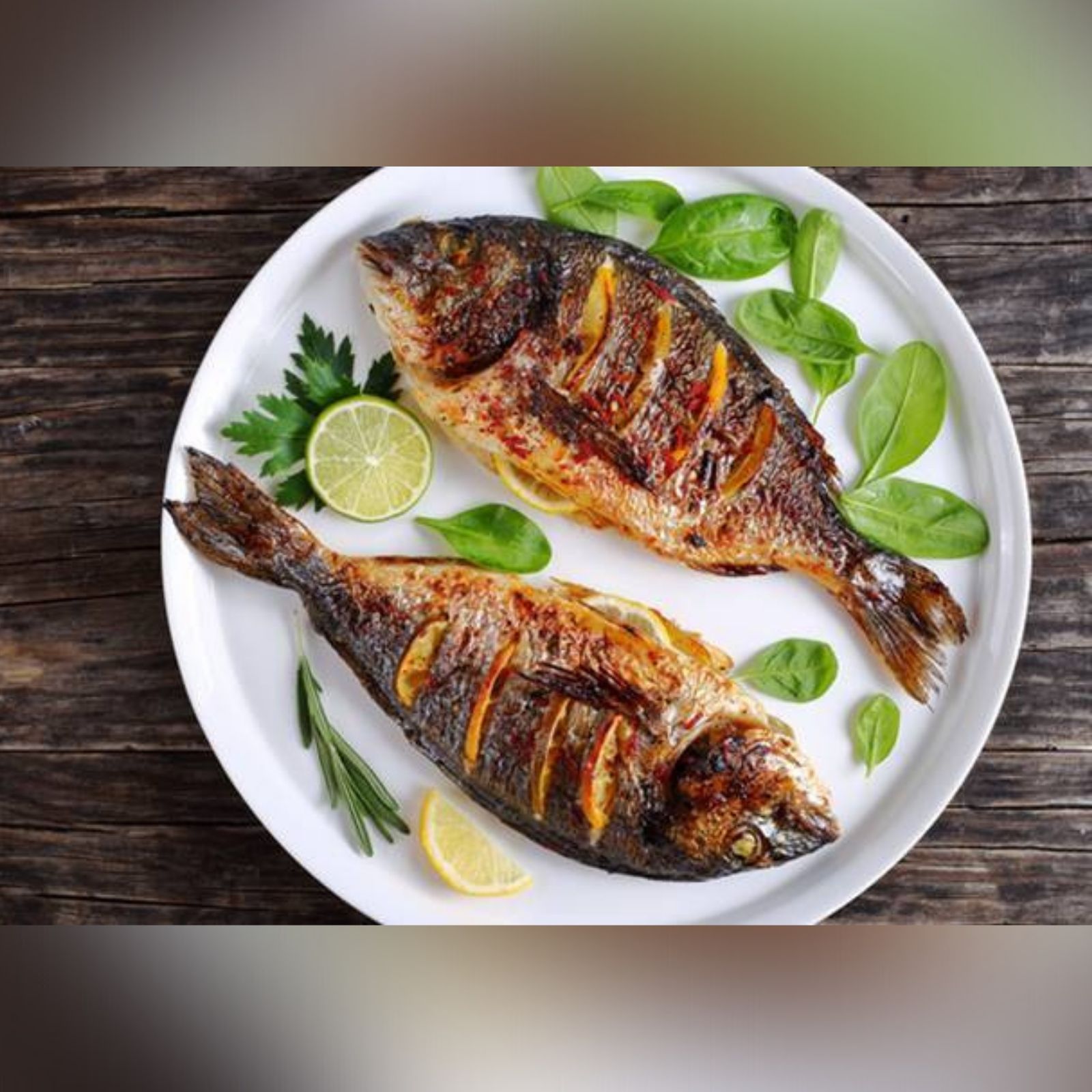 Health Tips: ಚಳಿಗಾಲದಲ್ಲಿ ಮೀನು ತಿನ್ನುವುದರಿಂದ ಎಷ್ಟೆಲ್ಲಾ ಪ್ರಯೋಜನವಿದೆ ನೋಡಿ ...