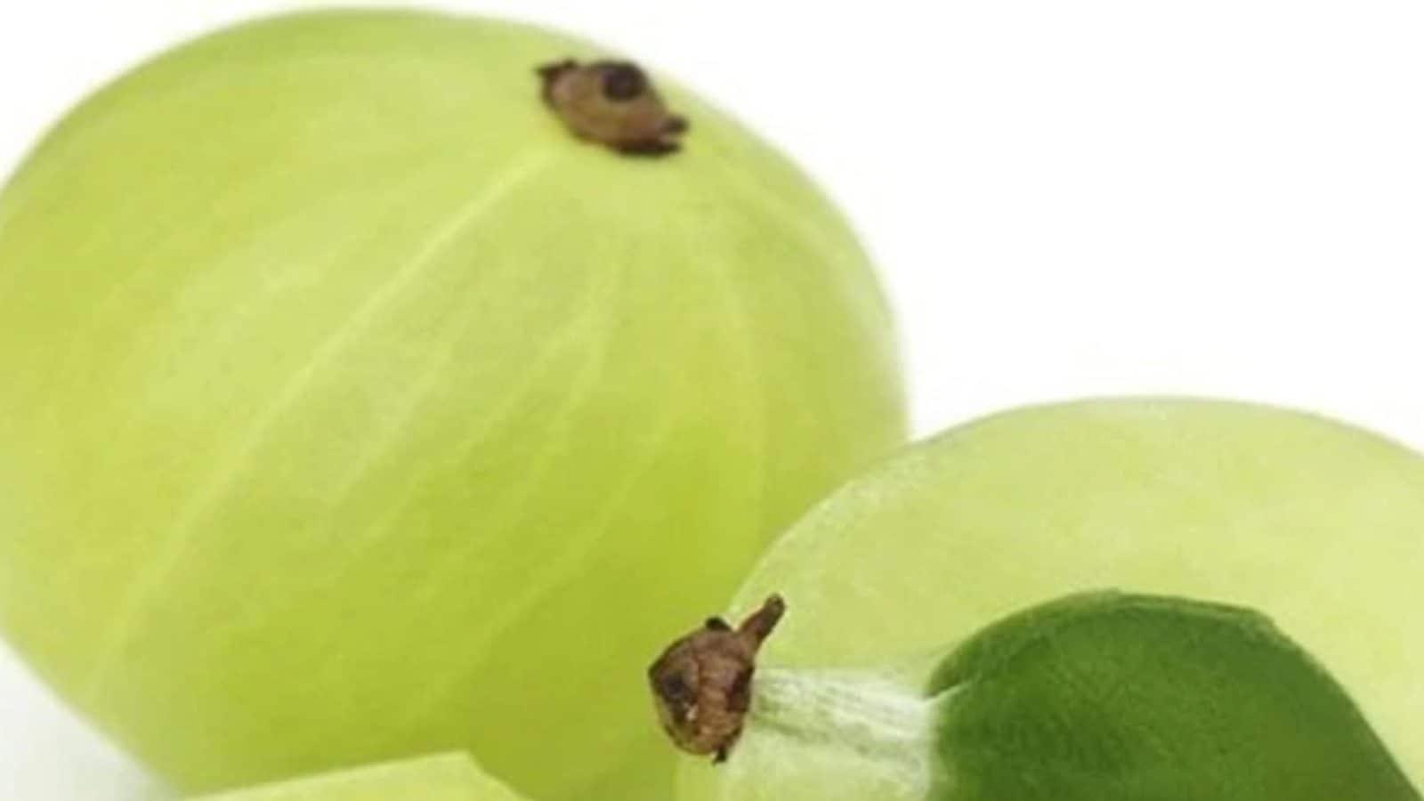Gooseberry Seeds: ಬೆಟ್ಟದ ನೆಲ್ಲಿಕಾಯಿಯ ಬೀಜಗಳನ್ನು ಬಿಸಾಡಬೇಡಿ.. ಚರ್ಮದ ...