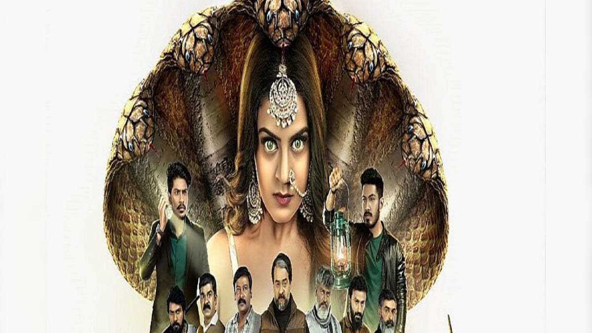 Nagini 2 Serial: ಕೊನೆ ಹಂತದಲ್ಲಿ ಮತ್ತೊಂದು ಕನ್ನಡದ ಫೇಮಸ್ ಸೀರಿಯಲ್: ಕೆಲವೇ ...