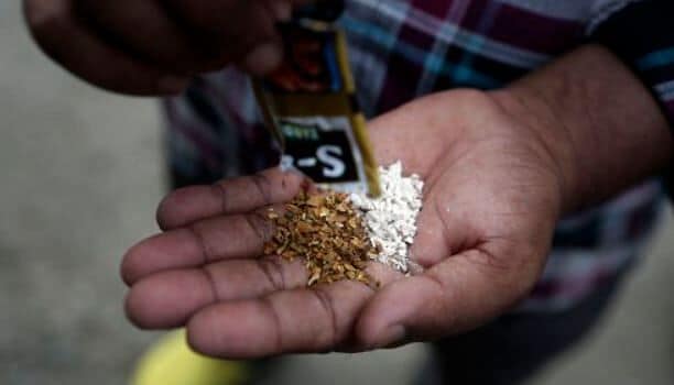 Gutkha: ಈ ರಾಜ್ಯದವರೇ ಹೆಚ್ಚು ಗುಟ್ಕಾ ತಿನ್ನೋದು.. ಅವರು ಉಗುಳುವ ಗುಟ್ಕಾದಿಂದ ...