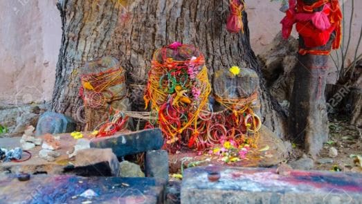 Banyan Tree Worship: ಉದ್ಯೋಗ ಸಮಸ್ಯೆ ಕಾಡುತ್ತಿದ್ರೆ; ಆಲದ ಮರದಲ್ಲಿದೆ ಪರಿಹಾರ ...