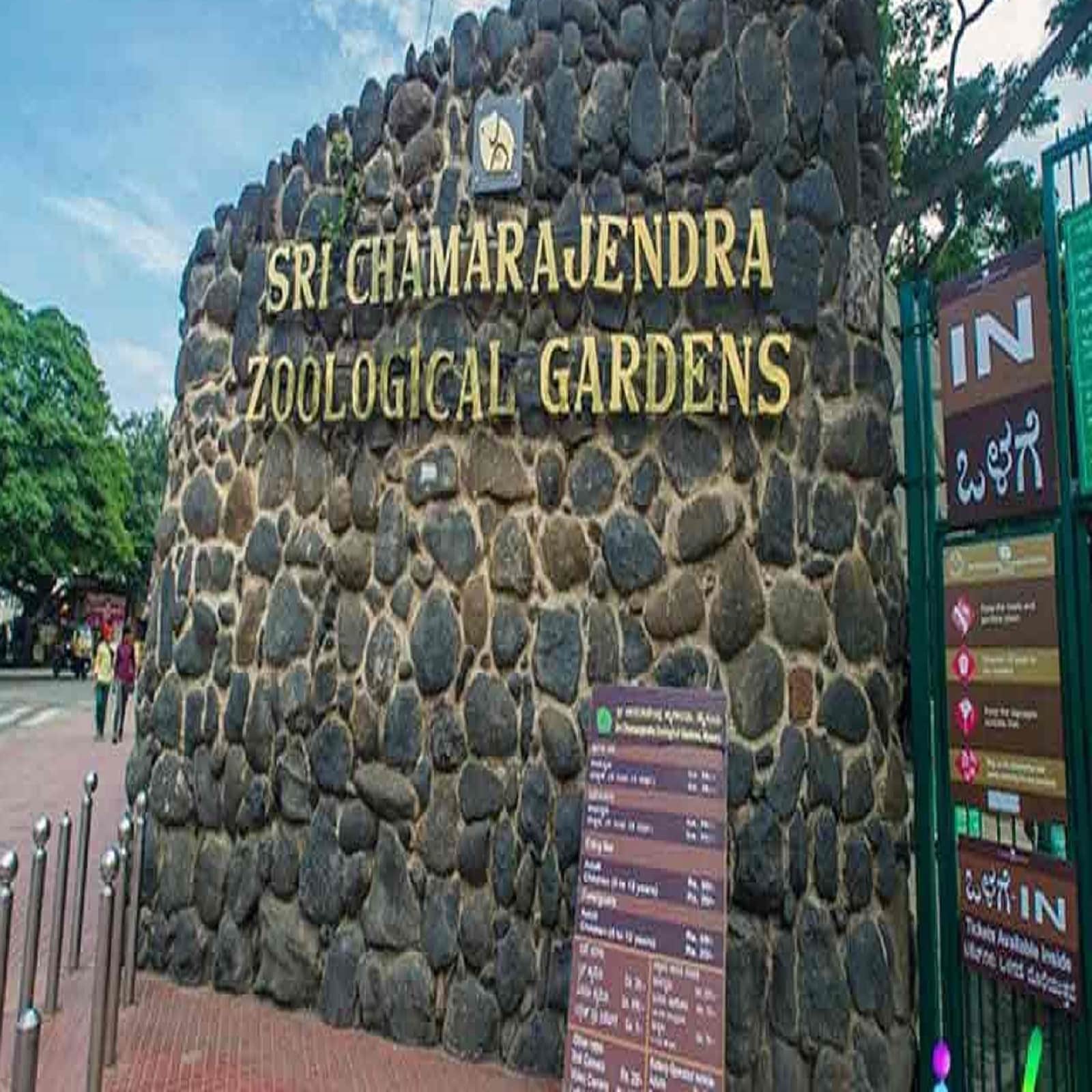 Mysore Zoo: ಮೈಸೂರಿನ ಮೃಗಾಲಯಕ್ಕೆ ಹೊಸ ಅತಿಥಿಗಳ ಆಗಮನ – News18 ಕನ್ನಡ