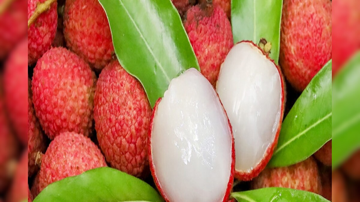 ಉದ್ದ ಮತ್ತು ದಪ್ಪ ಕೂದಲಿಗಾಗಿ ಲಿಚಿ ಹಣ್ಣಿನ ಹೇರ್ ಮಾಸ್ಕ್ ಪ್ಯಾಕ್ ಹಾಕಿ, ಪ್ರಯೋಜನ ...