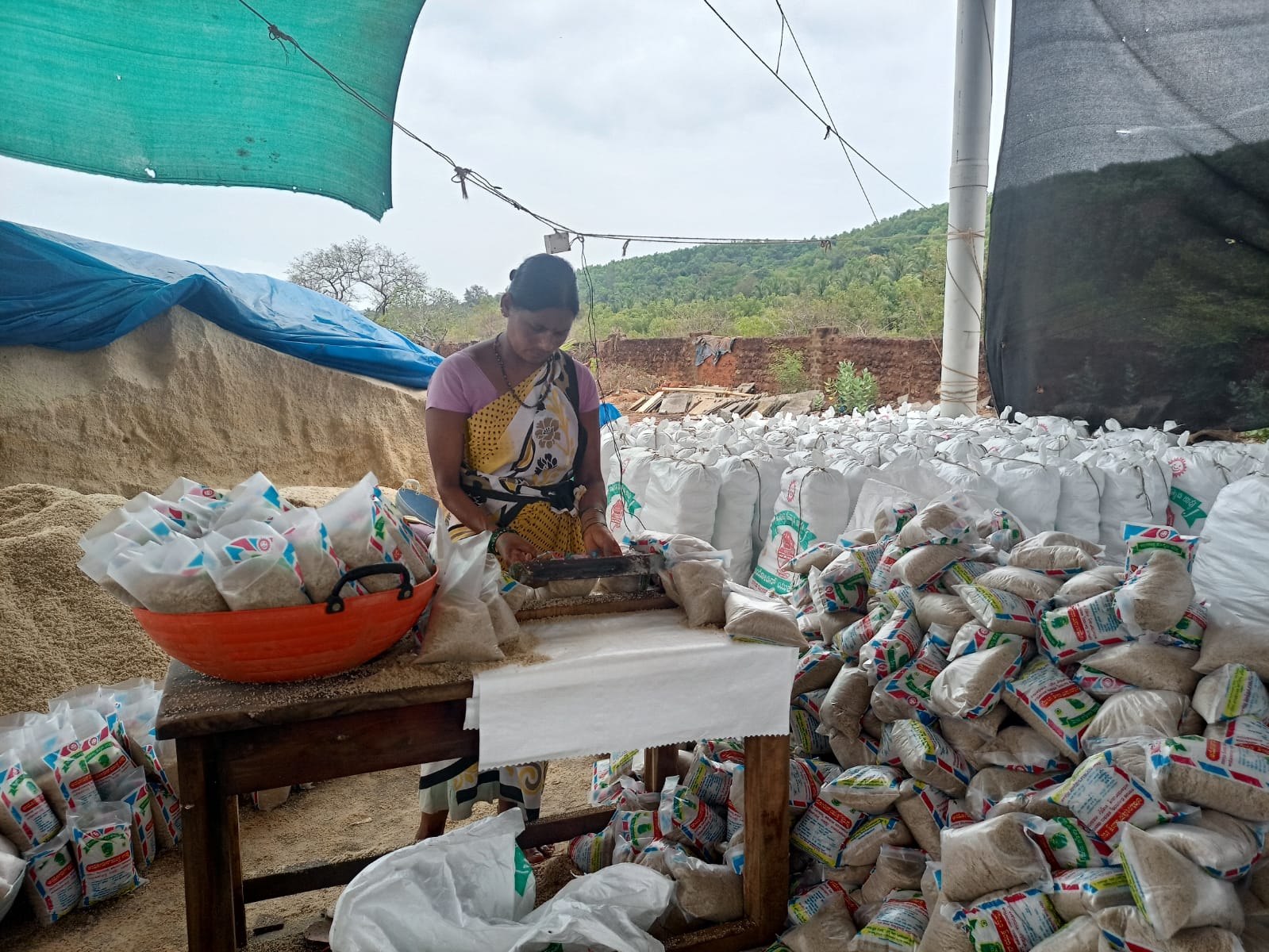 Sanikatta Salt: ತಿನ್ನೋಕೆ ಉಪ್ಪೇ ಸಿಗಲ್ಲ ಜೋಕೆ! ಉಪ್ಪು ತಯಾರಾಗುವುದು ಹೇಗೆ ...