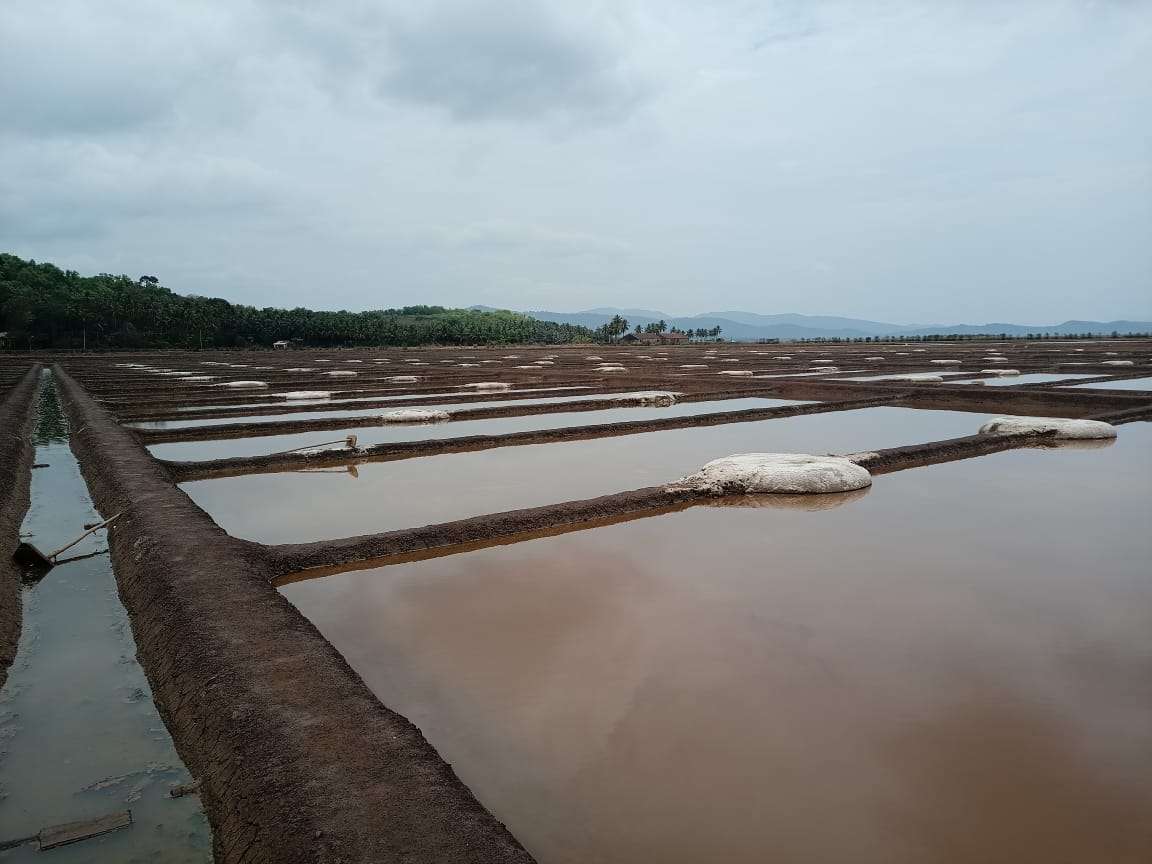 Sanikatta Salt: ತಿನ್ನೋಕೆ ಉಪ್ಪೇ ಸಿಗಲ್ಲ ಜೋಕೆ! ಉಪ್ಪು ತಯಾರಾಗುವುದು ಹೇಗೆ ...