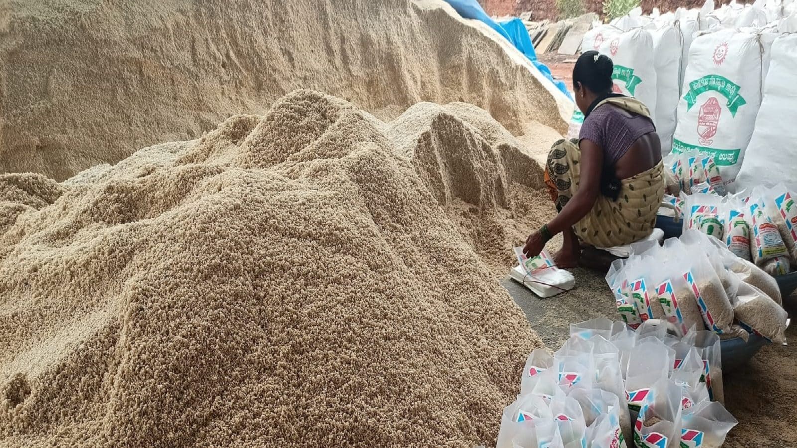 Sanikatta Salt in Kumta Karnataka Highest Salt production center ...