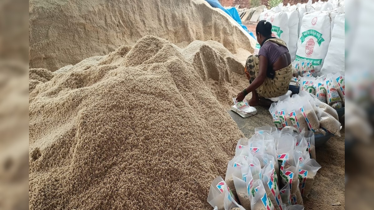 Sanikatta Salt: ತಿನ್ನೋಕೆ ಉಪ್ಪೇ ಸಿಗಲ್ಲ ಜೋಕೆ! ಉಪ್ಪು ತಯಾರಾಗುವುದು ಹೇಗೆ ...