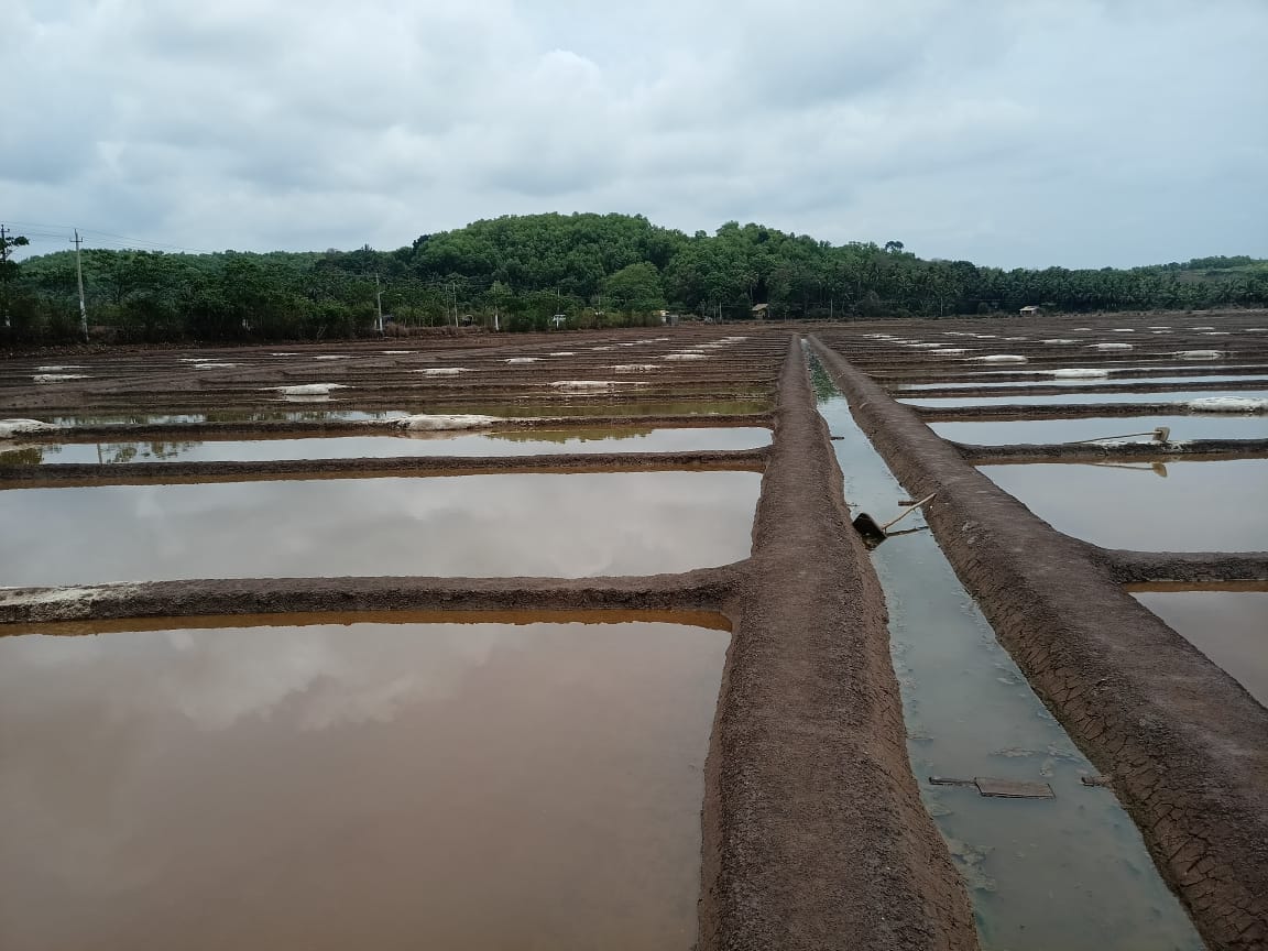 Sanikatta Salt: ತಿನ್ನೋಕೆ ಉಪ್ಪೇ ಸಿಗಲ್ಲ ಜೋಕೆ! ಉಪ್ಪು ತಯಾರಾಗುವುದು ಹೇಗೆ ...
