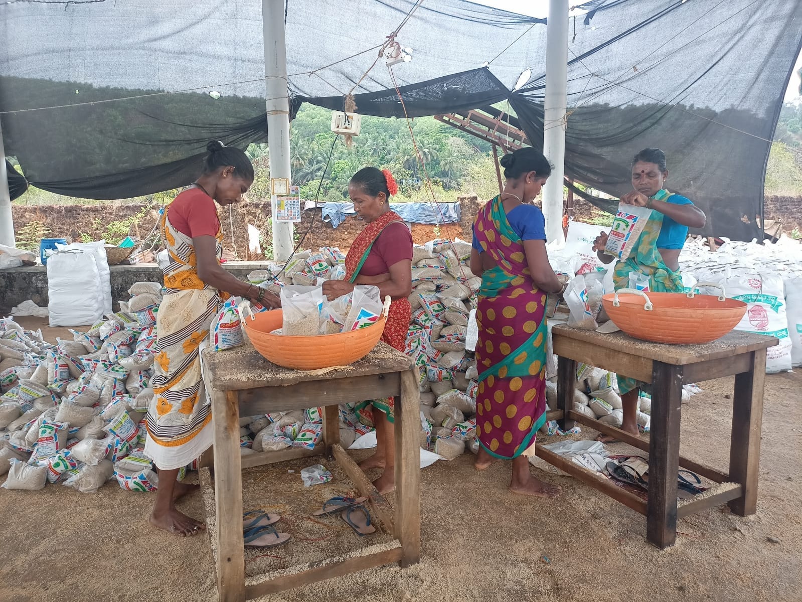 Sanikatta Salt: ತಿನ್ನೋಕೆ ಉಪ್ಪೇ ಸಿಗಲ್ಲ ಜೋಕೆ! ಉಪ್ಪು ತಯಾರಾಗುವುದು ಹೇಗೆ ...