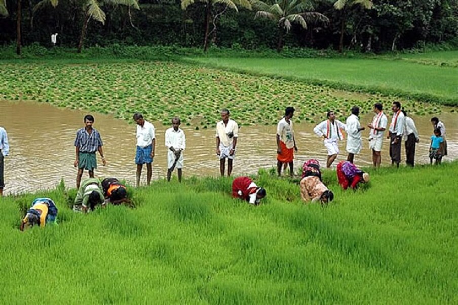 Aati Amavasya A Tuluva Tradition and Time For Drink Paleda Kashaya For ...