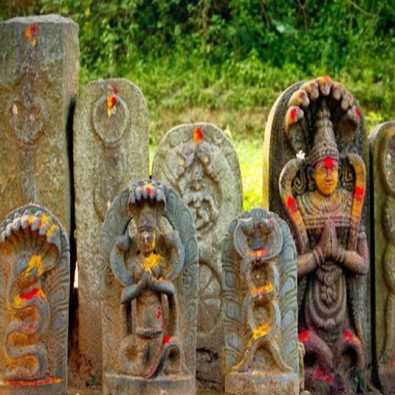 ನಾಳೆ ನಾಗರ ಪಂಚಮಿ ಹಬ್ಬದ ಸಂಭ್ರಮ; ಆಚರಣೆ, ಮಹತ್ವ ಕುರಿತು ಮಾಹಿತಿ ಇಲ್ಲಿದೆ ...