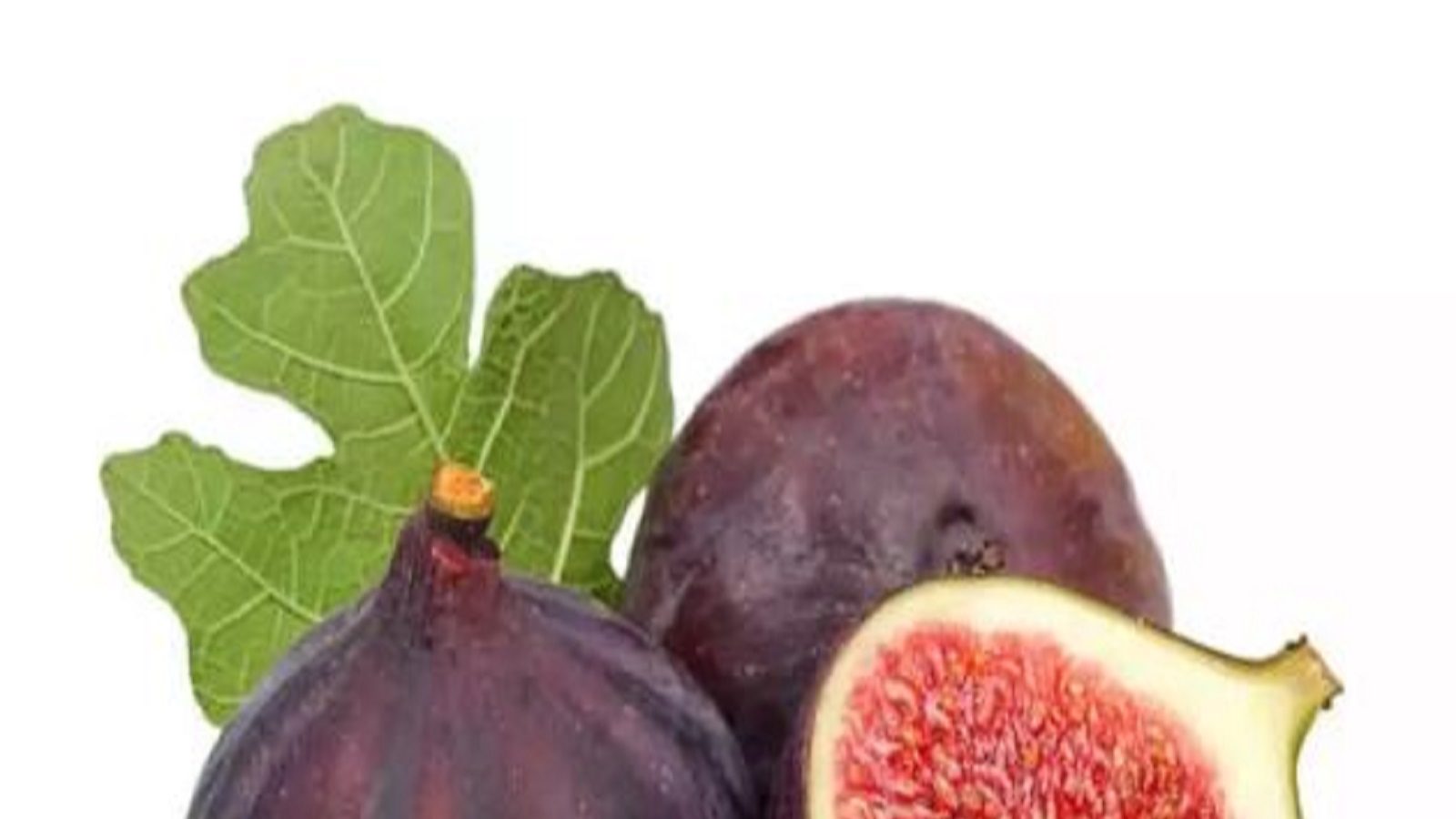 Himalayan Fig: ಹಿಮಾಲಯ ಅಂಜೂರದಲ್ಲಿದೆ ಹಲವು ಪೋಷಕಾಂಶ! ಆರೋಗ್ಯಕ್ಕೆ ಬೆಸ್ಟ್ ...