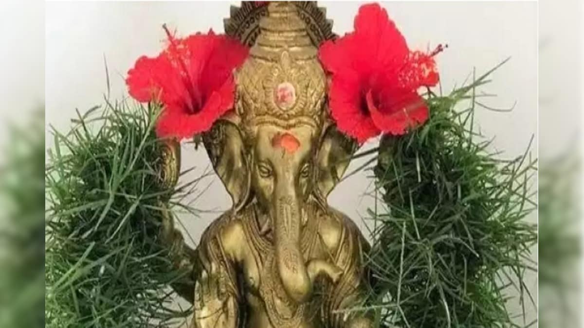 Ganesh Festival 2022: ಗಣೇಶನಿಗೆ ಗರಿಕೆ ಅರ್ಪಿಸುವುದೇಕೆ? ಎಷ್ಟು ಸಲ್ಲಿಸಬೇಕು ...