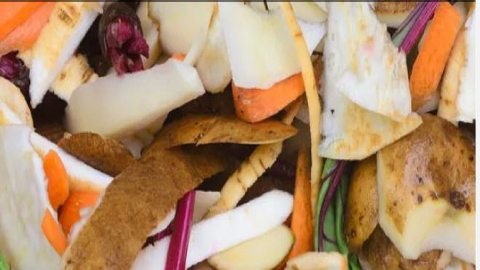 Vegetables Peel: ಹಣ್ಣು, ತರಕಾರಿ ಸಿಪ್ಪೆ ಎಸೆಯುತ್ತೀರಾ? ಹೀಗೆ ಮಾಡುವ ಮುನ್ನ ...