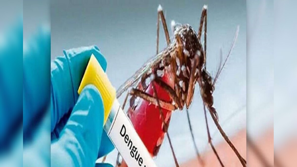 Dengue Fever Signs: ನಿಮಗೆ ಬಂದಿರೋದು ಡೆಂಗ್ಯೂ ಜ್ವರನಾ? ಇದರ ಲಕ್ಷಣಗಳ ಬಗ್ಗೆ ...