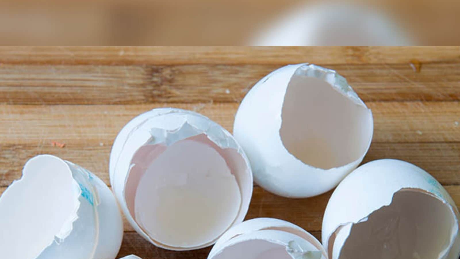 how to reuse eggshells kitchen hacks | Kitchen Hacks: ಎಗ್ ಶೆಲ್ ಕೇವಲ ...