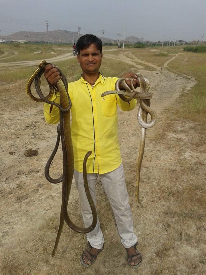 Kalaburagi Snake Prashanth: ಕಲಬುರಗಿಯ ಈ ಆಟೋ ಡ್ರೈವರ್ ಗೆ ಹಾವೆಂದರೆ ಹೂವು ...