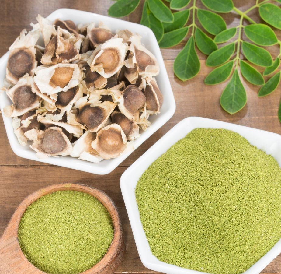 Moringa Seeds: ಸೊಪ್ಪು ಮಾತ್ರ ಅಲ್ಲ ನುಗ್ಗೆಬೀಜವೂ ಆರೋಗ್ಯಕ್ಕೆ ಬೆಸ್ಟ್, ಈ ...