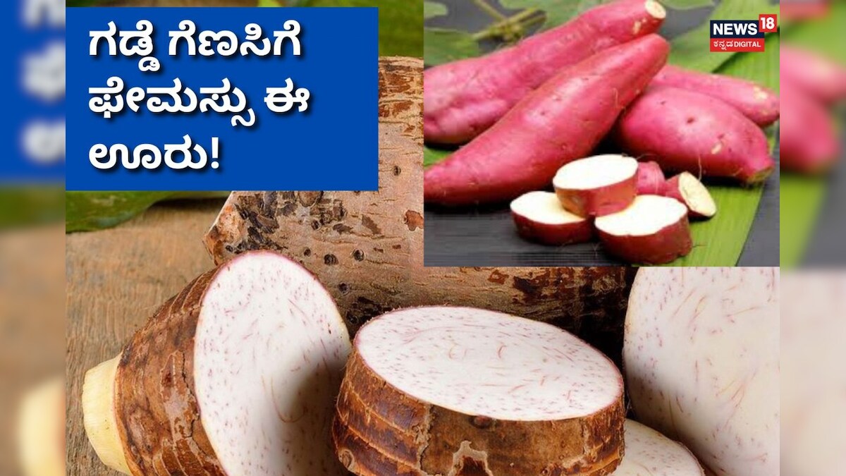 ಅಂಕೋಲಾ ಗೆಣಸು ಉಪವಾಸಕ್ಕೆ ಫೇಮಸ್ಸು! ಆರೋಗ್ಯಕ್ಕಂತೂ ಭಾರೀ ಬೆಸ್ಟು – News18 ಕನ್ನಡ