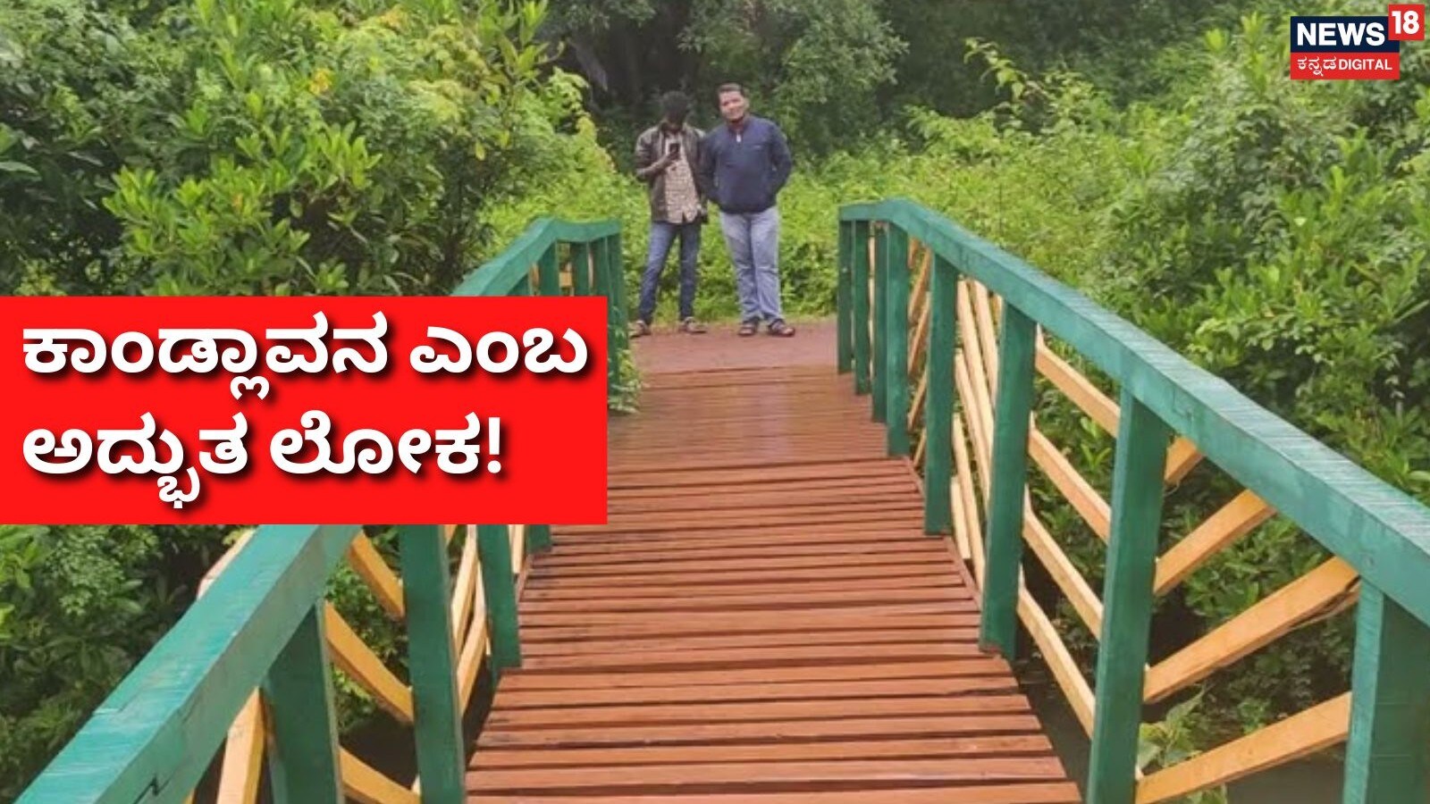 Kandla Forest Travel Plan: ಶರಾವತಿಯ ಮಡಿಲಲ್ಲಿ ಕಾಂಡ್ಲಾವನ, ಮ್ಯಾಂಗ್ರೋವ್ ಮರಗಳ ...