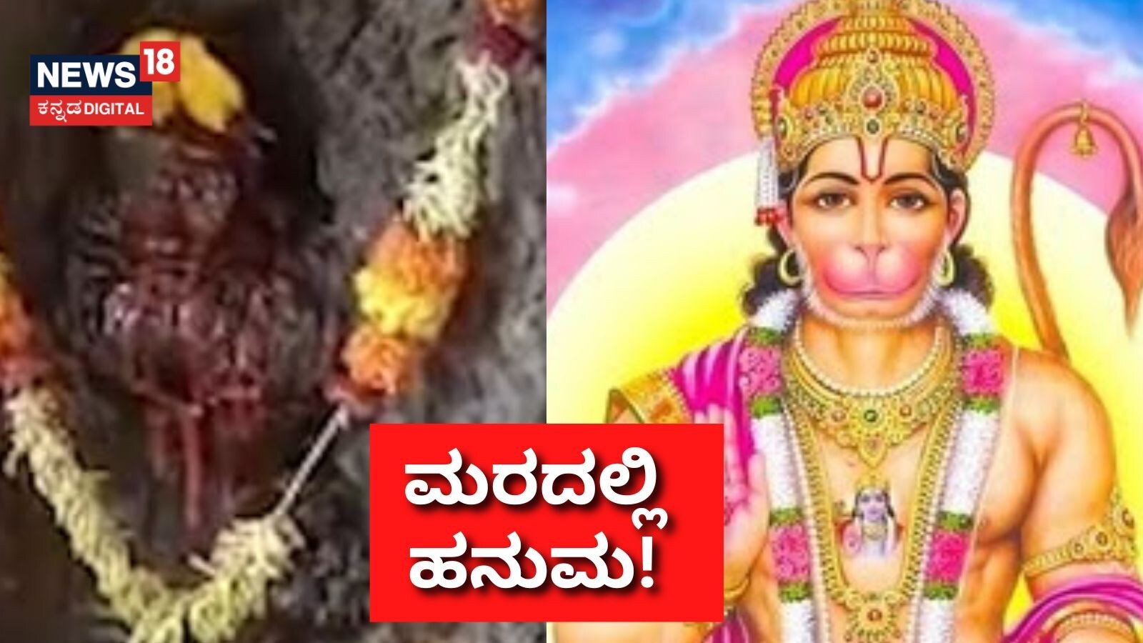 Hanuman Tree: ಮರದಲ್ಲಿ ಮೂಡಿದ ಮಾರುತಿ! ಉತ್ತರ ಕನ್ನಡದ ವಿಡಿಯೋ ವೈರಲ್ | Lord ...