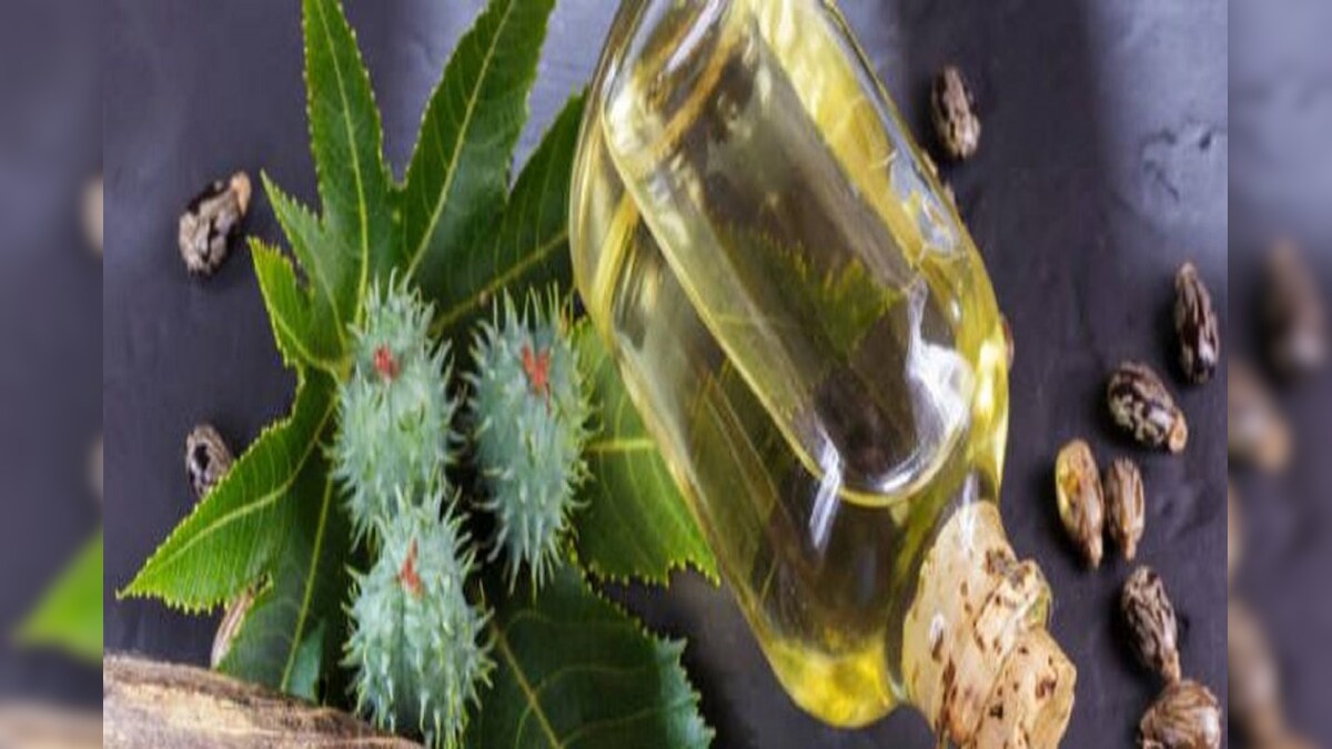 Castor Oil: ಹರಳೆಣ್ಣೆಯನ್ನು ಹೀಗೆ ಯೂಸ್ ಮಾಡಿದ್ರೆ ಕೂದಲು ಉದುರೋದು ನಿಲ್ಲುತ್ತೆ ...