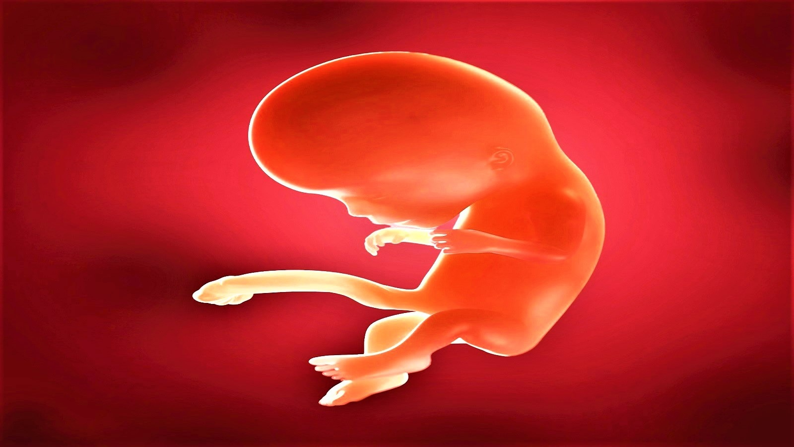 Viral News: 21 ದಿನದ ಹೆಣ್ಣು ಶಿಶುವಿನ ಹೊಟ್ಟೆಯಲ್ಲಿದ್ದವು 8 ಭ್ರೂಣಗಳು! ಇದು ...