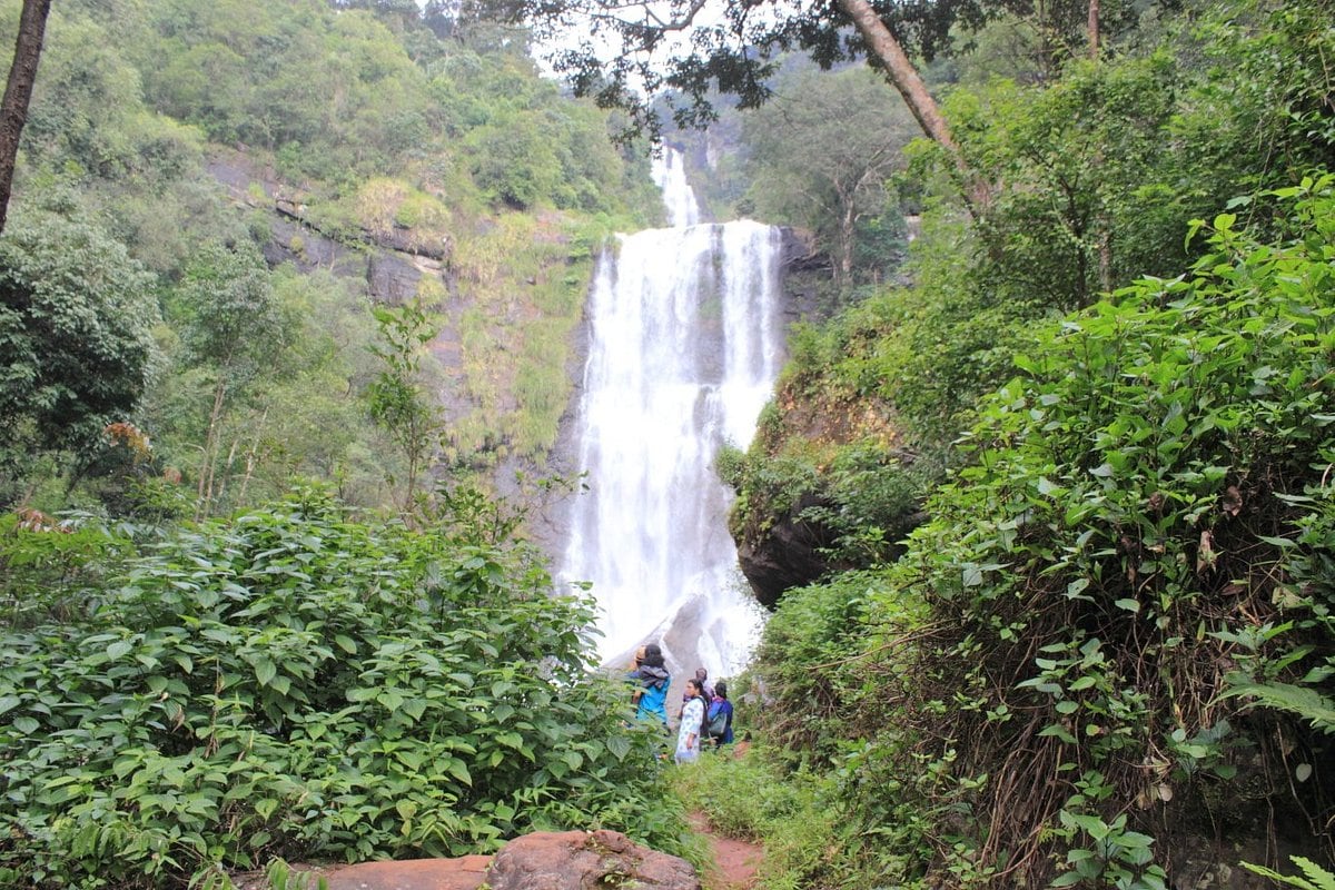 Hebbe Falls: ಧುಮ್ಮಿಕ್ಕುವ ಹಬ್ಬೆ ಜಲಪಾತ ನೋಡೋದೆ ಒಂದು ಸುಂದರ ಅನುಭವ, ಇಲ್ಲಿಗೆ ...