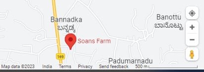 ಕೃಷಿಕರ ಕುತೂಹಲದ ತಾಣ ಈ ಸೋನ್ಸ್ ಫಾರ್ಮ್! – News18 ಕನ್ನಡ