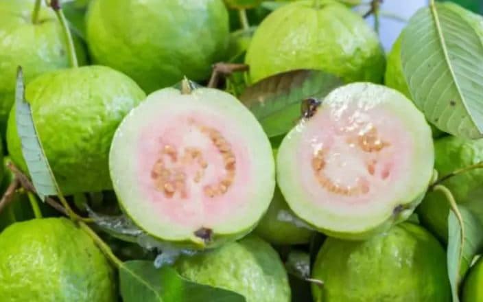 Health Care: ಹೊಟ್ಟೆಯ ಕೊಬ್ಬು ಕರಗಿಸಲು ಪೇರಳೆ ನಿಜಕ್ಕೂ ಸಹಾಯಕಾರಿ | ಲೈಫ್ ...