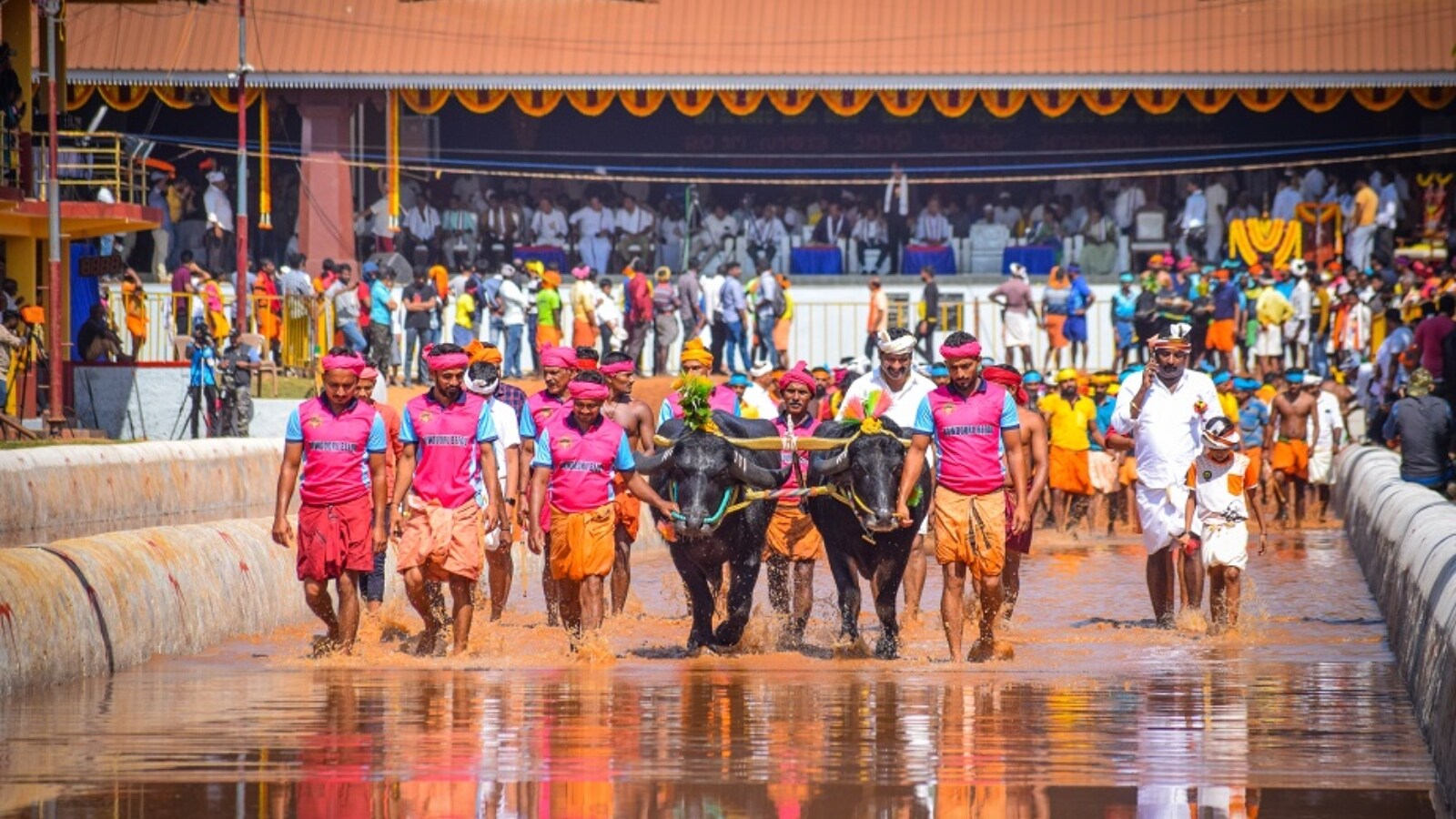 ಕಂಬಳ ಅಂದರೆ ಕ್ರೀಡೆಯಷ್ಟೇ ಅಲ್ಲ, ಕರಾವಳಿಗರ ಬದುಕು-ಜೀವಾಳ: ಇಲ್ಲಿದೆ ನೀವು ತಿಳಿಯದ ...