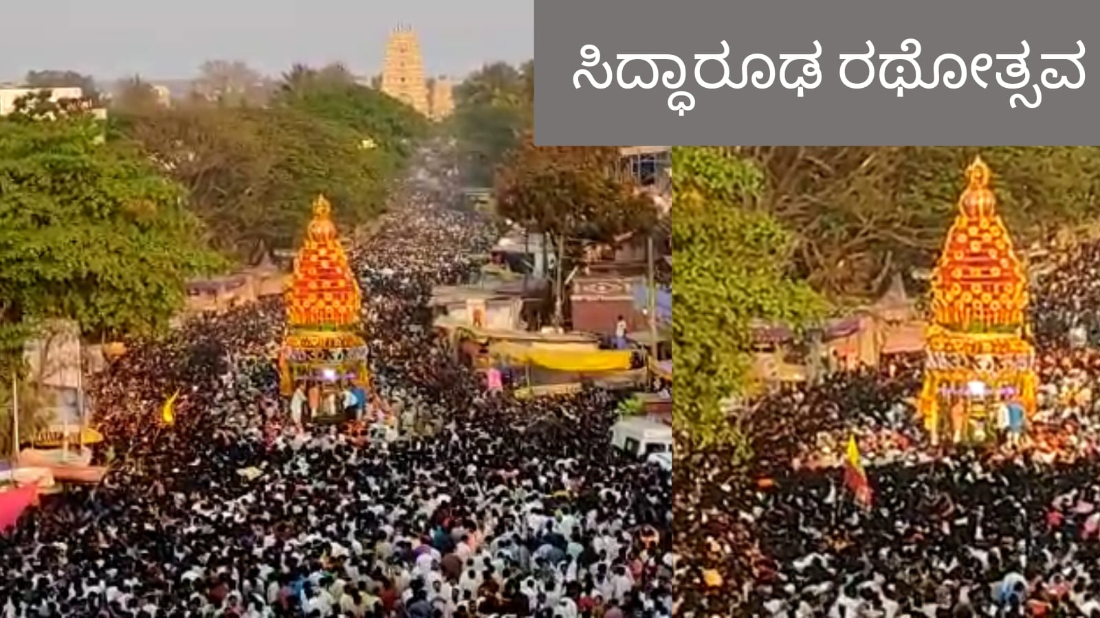 grand celebrations Sri Siddharoodha Shivaratri Rathotsava saklb mrq ...